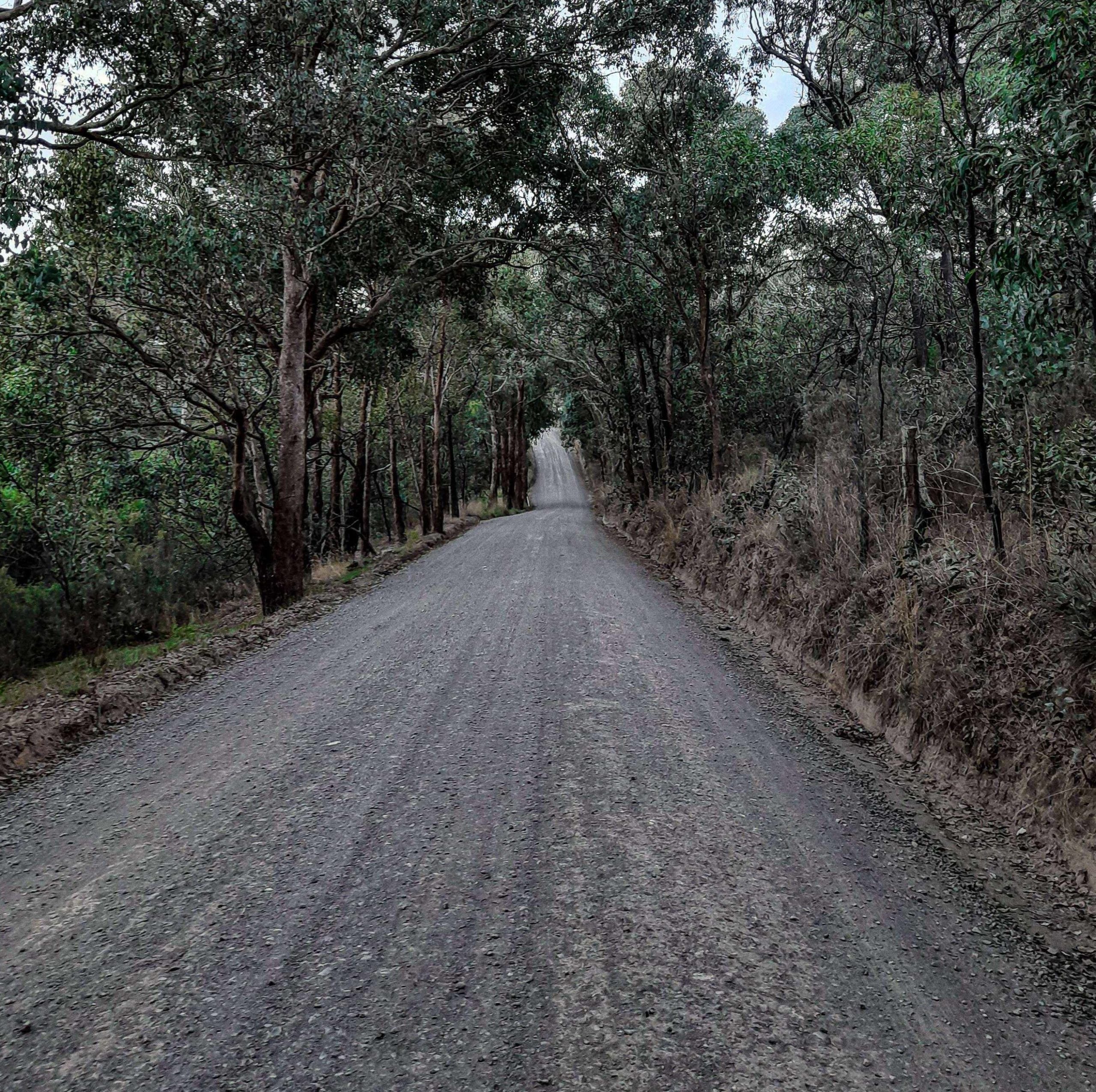 Our running year - Claude Fit